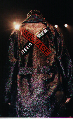 Full Contact Fighter, Picture Page